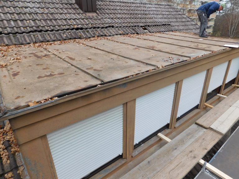 Hochwertiges Prefa Doppelstehfalzdach aus Aluminium hellgrau P10, in ...
